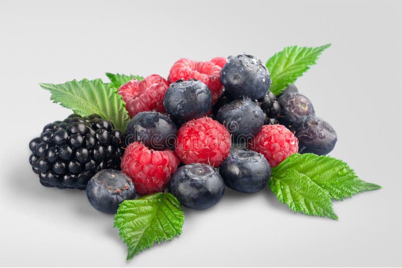 Berry Fruit stock photo. Image of healthy, berry, blue - 61562616