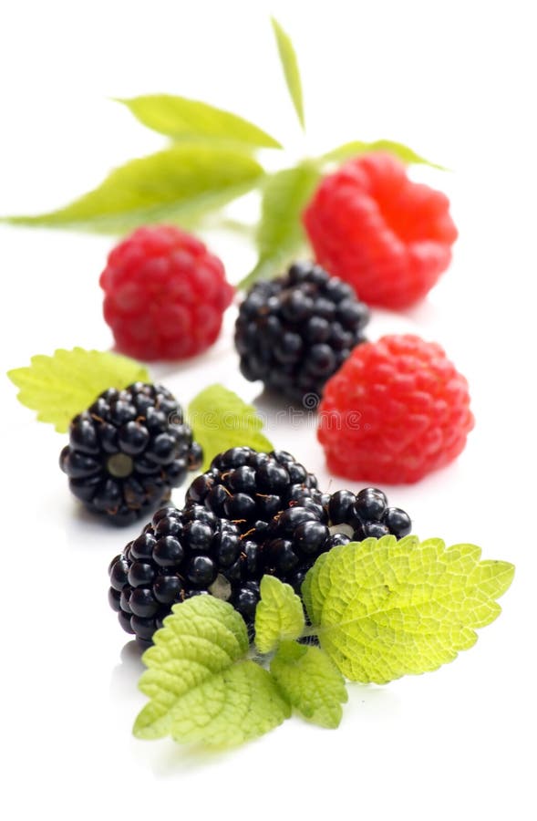Berry fruits stock image. Image of mellow, delicious - 10536195