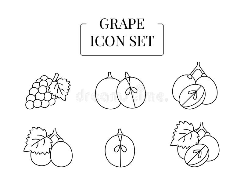 Berry Grapes Whole and Half, Cut into Slices, Set of Line Icons in ...