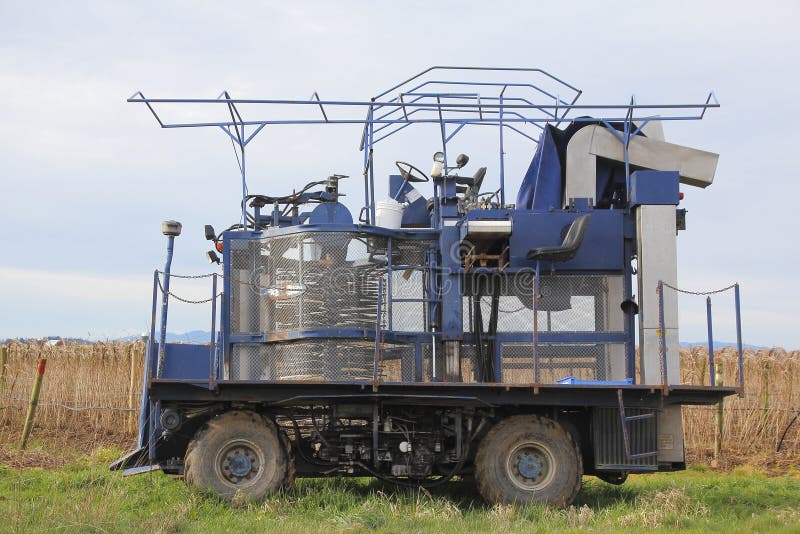 Berry Harvester stock photo. Image of field, berry, profile - 68138092