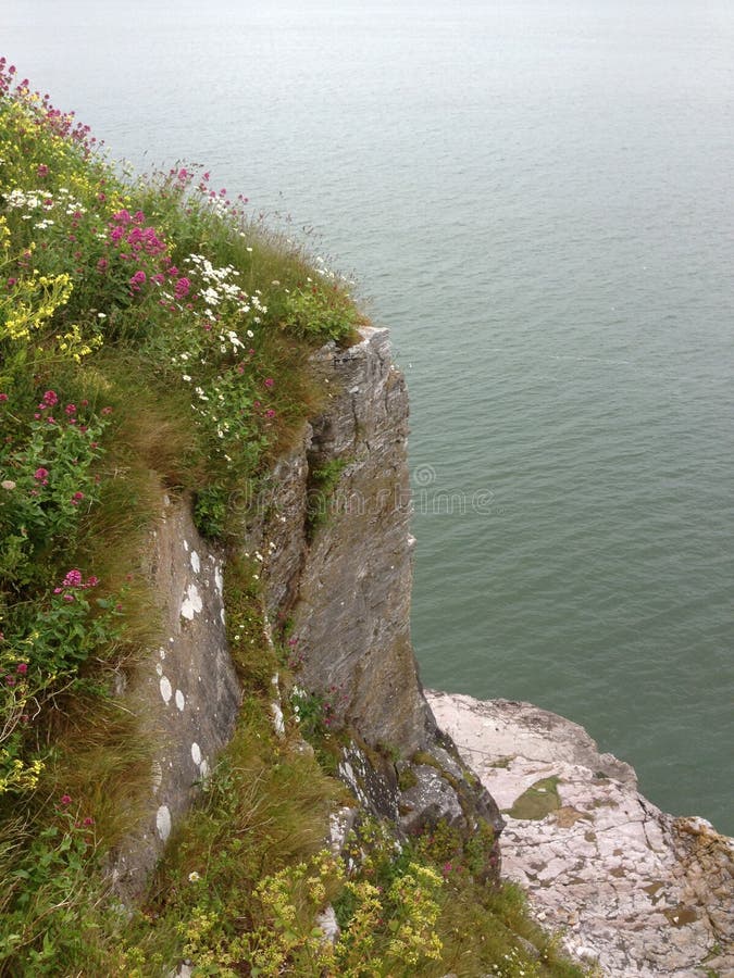 Berry Head, Brixham, Devon stock image. Image of coastline - 56935935