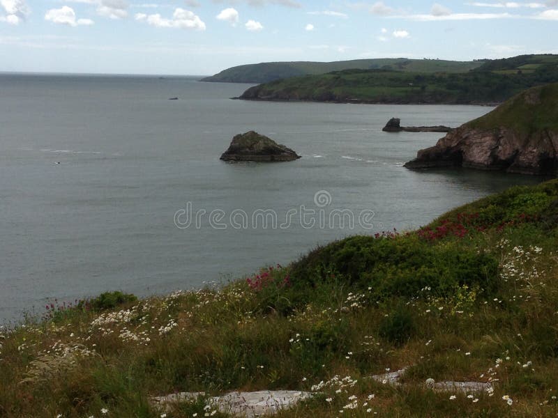 Berry Head, Brixham, Devon stock image. Image of coastline - 56935935