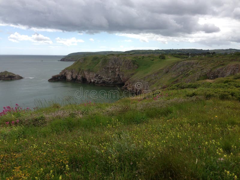Berry Head, Brixham, Devon stock image. Image of coastline - 56935935
