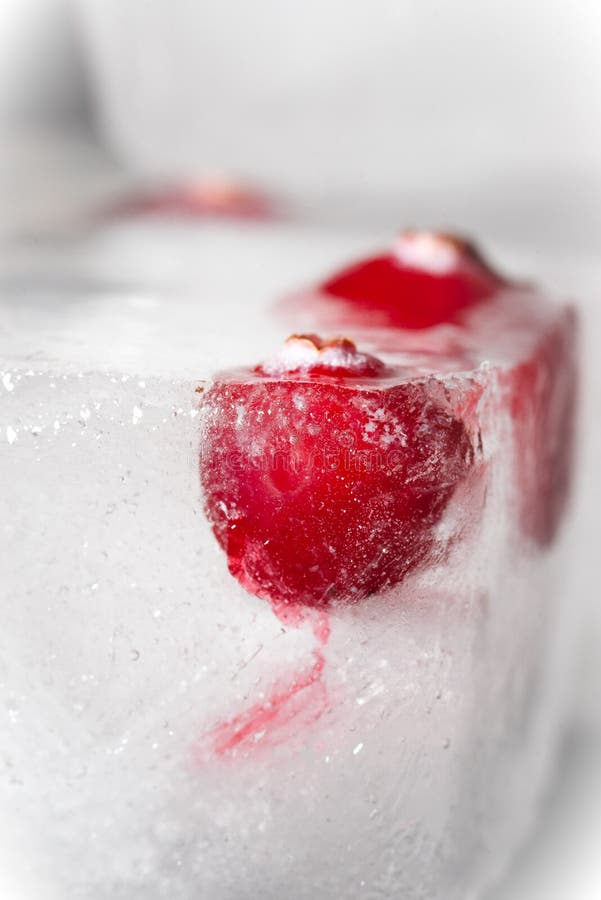 Berry in ice stock image. Image of frost, bilberry, cube - 12600159