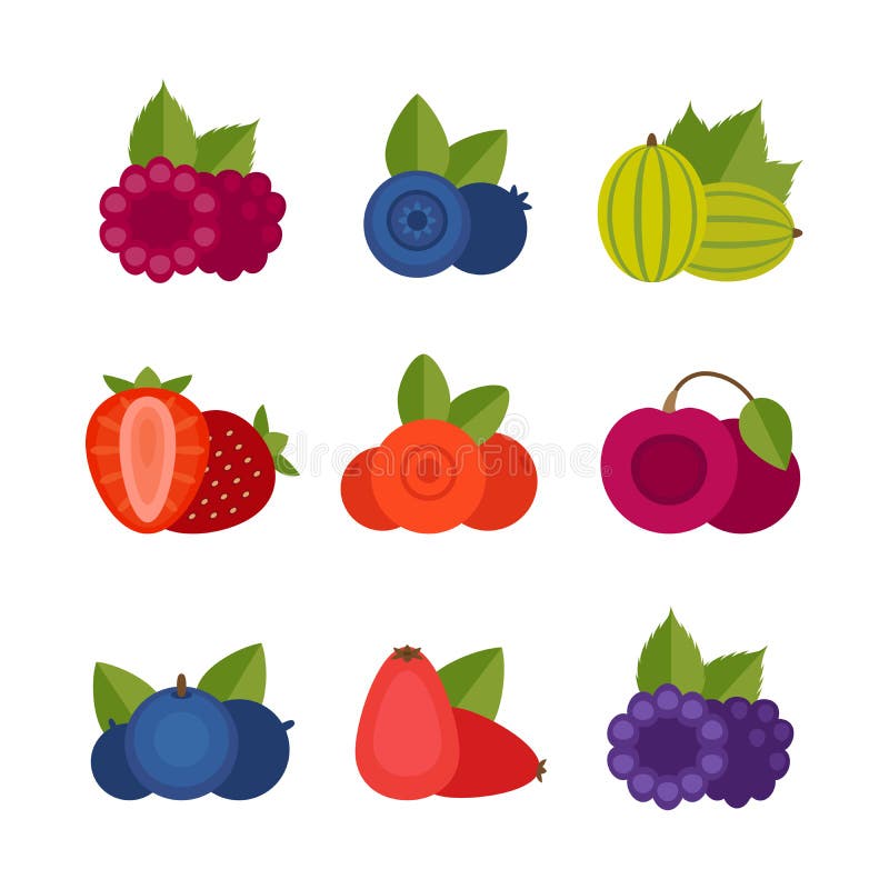 Berry Icon Set. Flat Style, Vector Illustration Stock Vector ...