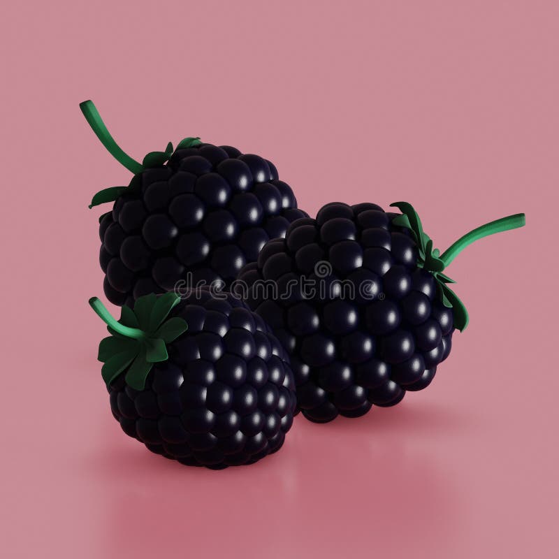 Berry Icon. Three Ripe Blackberries Stock Illustration - Illustration ...