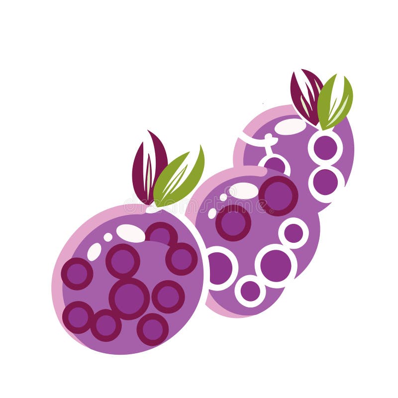 Berry icon vector stock vector. Illustration of tree - 301692873