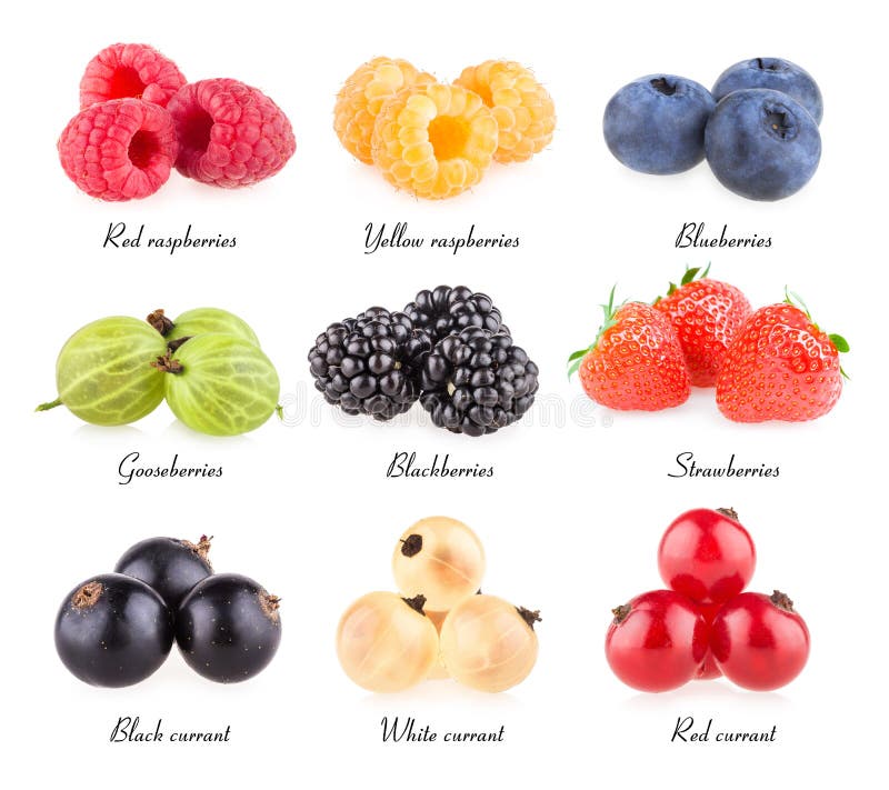 Berry images collection stock photo. Image of food, blueberry - 51539922