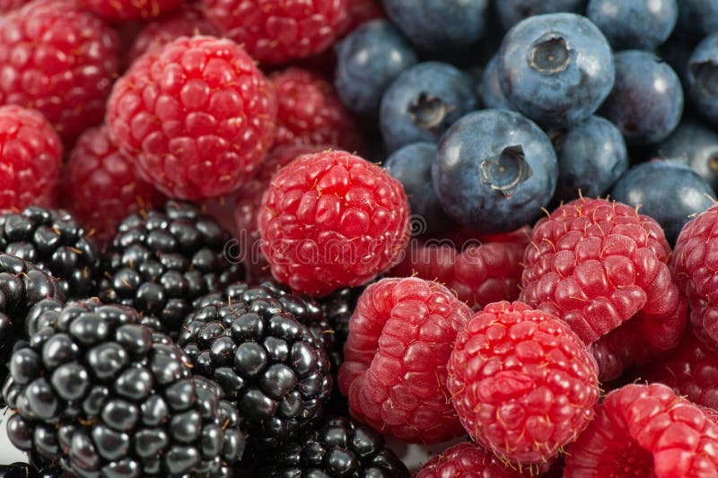 Berry Mix stock photo. Image of blackberries, blueberries - 14942164
