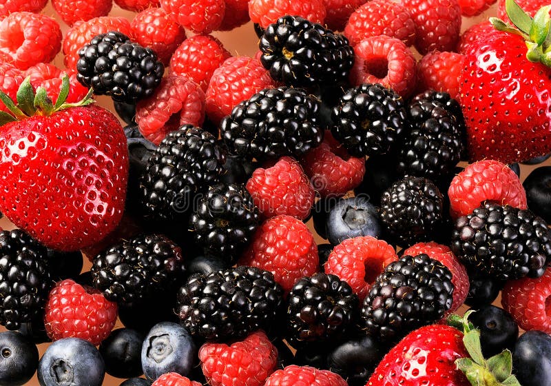 Berries stock image. Image of snack, backgrounds, white - 18836299