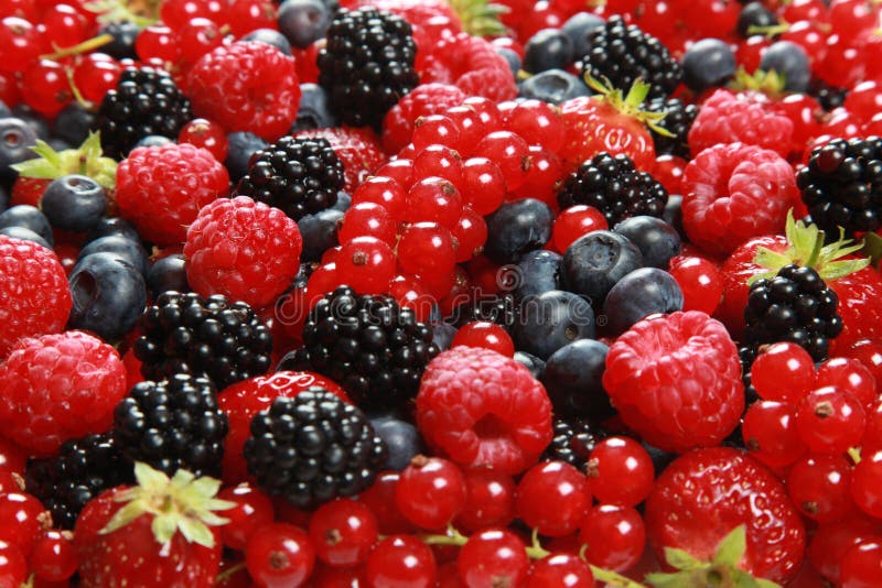 Berry Mix stock photo. Image of fruits, vitamine, currant - 20833918