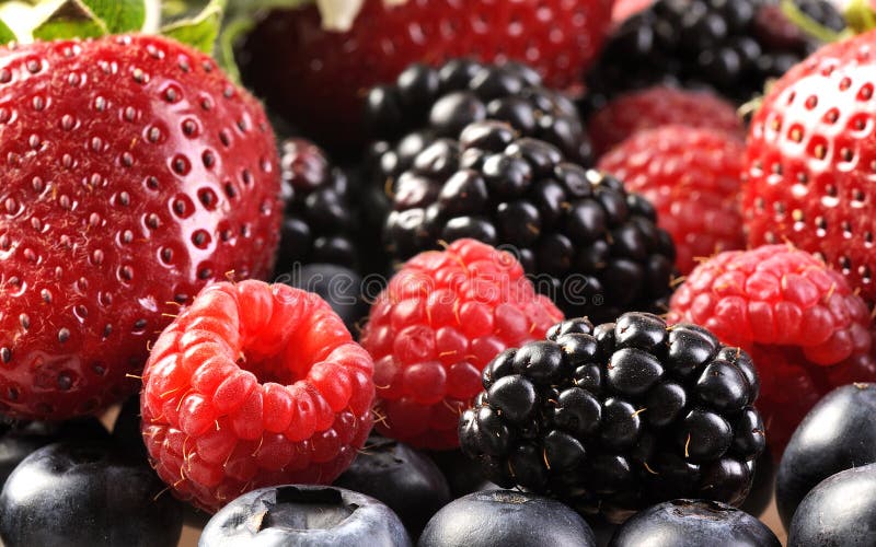 Berry mix stock image. Image of group, objects, healthy - 21451871