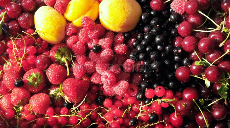 Berry mix stock photo. Image of assortment, berries, eating - 73853560