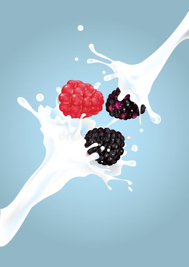 Berry mix cream splash stock vector. Illustration of group - 69268771