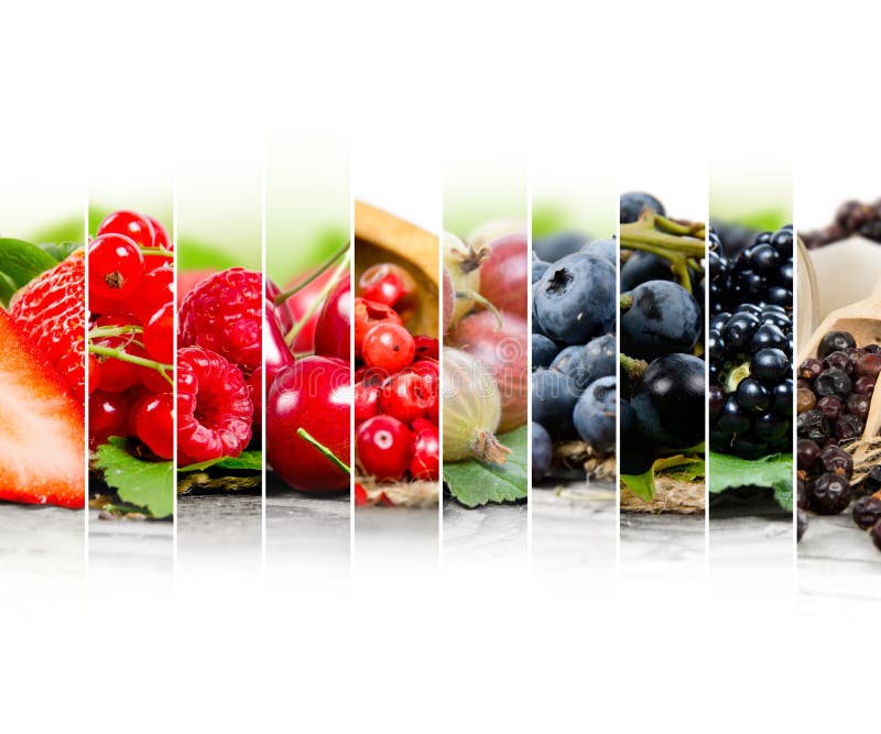 Berry mix stock photo. Image of juicy, assortment, juniper - 61058126
