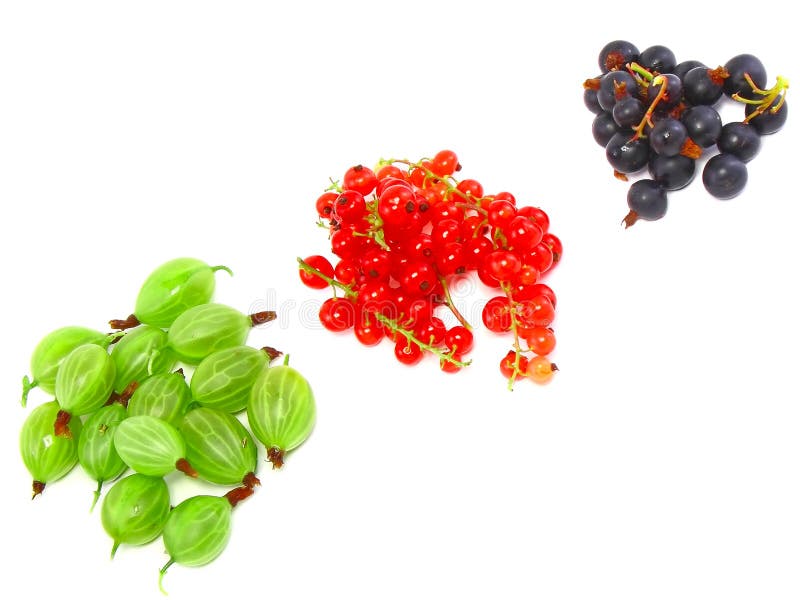 Berry Mix- Red and Black Currant. Isolated. Stock Photo - Image of ...