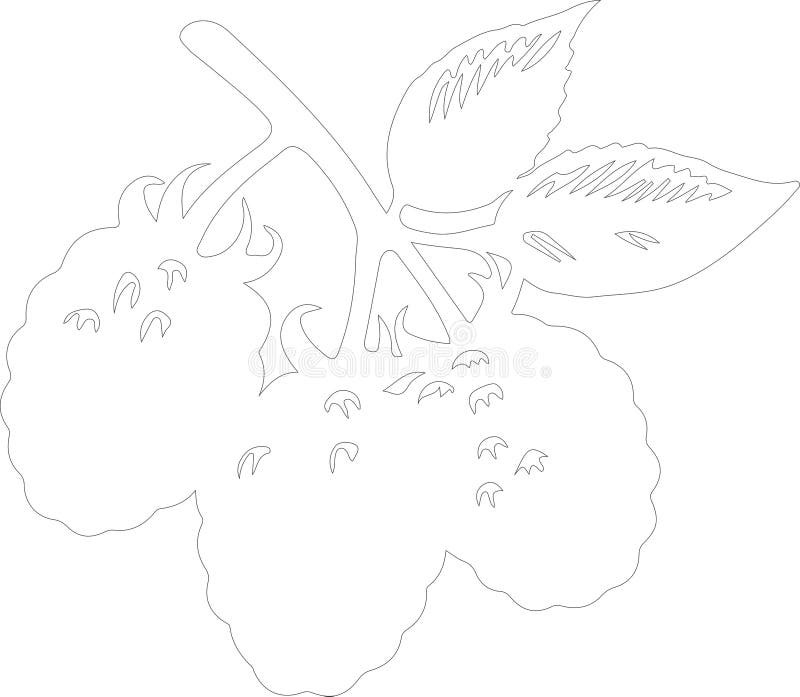 Berry Outline Silhouette Generative Ai Stock Vector - Illustration of ...