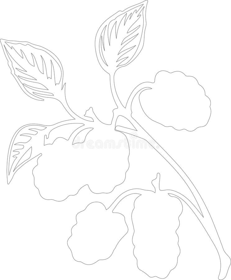 Berry Outline Silhouette Generative Ai Stock Vector - Illustration of ...