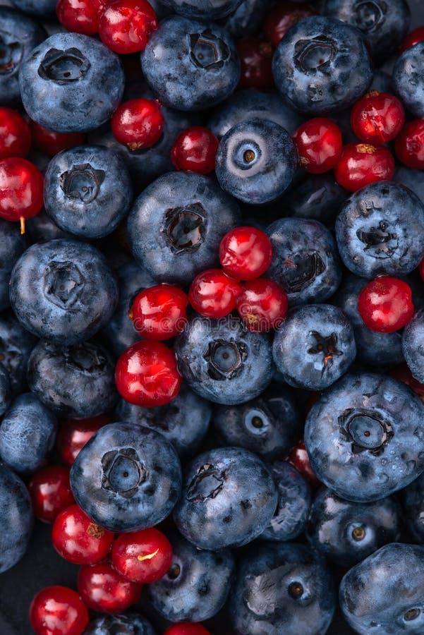 Berry Pattern. Fresh Summer Berries Mix Background with Blue Berries ...
