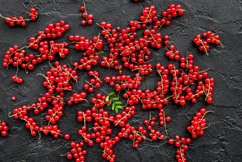 Berry Pattern. Red Currant on Black Table Background Top View Stock ...
