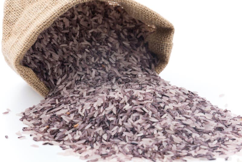 Berry Rice photo stock. Image du mangez, isolement, nourriture - 54868598