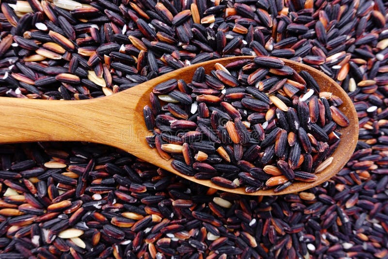 Berry rice stock image. Image of agriculture, rice, nutrition - 73936087