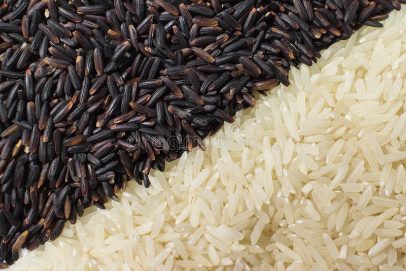 Berry rice, white rice stock photo. Image of full, color - 52076436