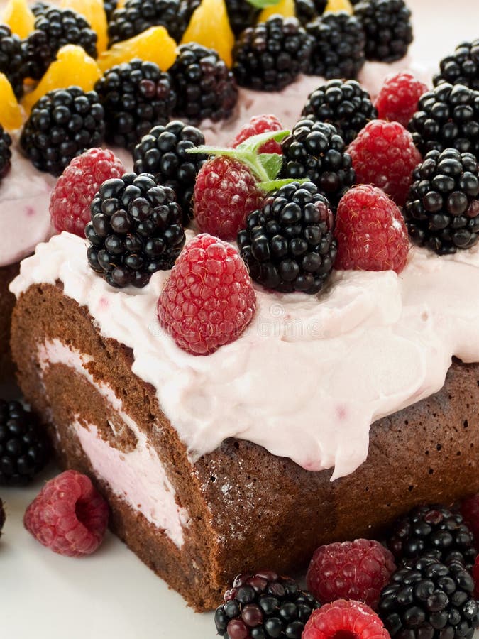 Berry roulades stock photo. Image of closeup, roulade - 21042378
