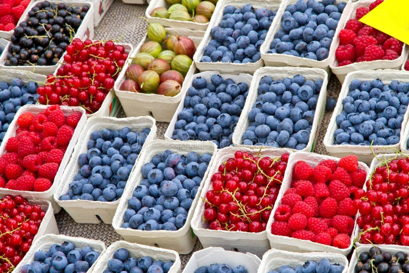 Berry season stock image. Image of currents, berry, gooseberry - 25461525