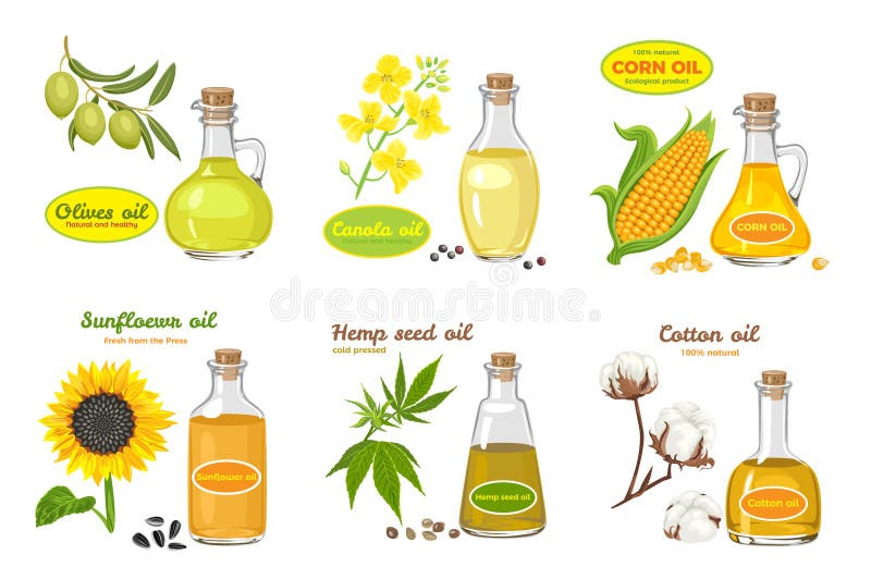Vector Set of Seed Oils Isolated on White. Illustration in Flat Style ...