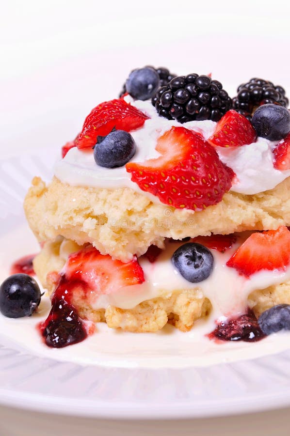 Berry shortcake stock image. Image of shortcake, blueberry - 11144853