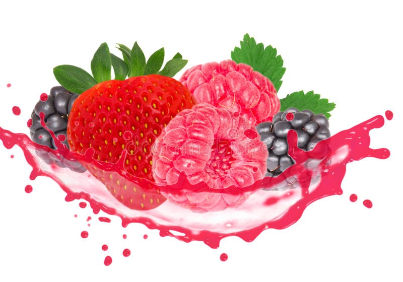 Berry splash stock photo. Image of lifestyle, closeup - 26015192