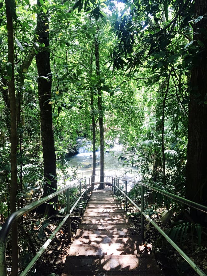 Berry Springs stockfoto. Bild von beere, frühlinge, darwin - 116546682