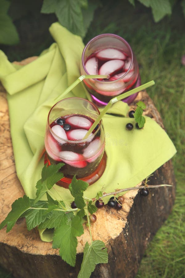 The Berry Spritzer Cocktail Stock Image - Image of taste, party: 32506511