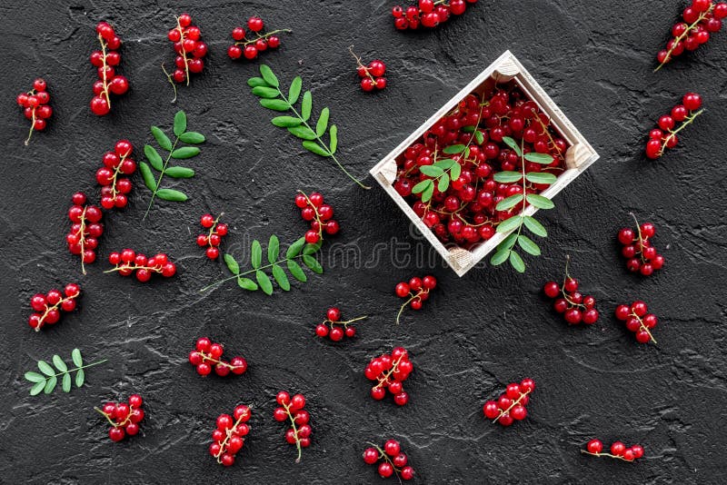 Berry Theme. Red Currant, Cherry and Leaves on Black Table Background ...