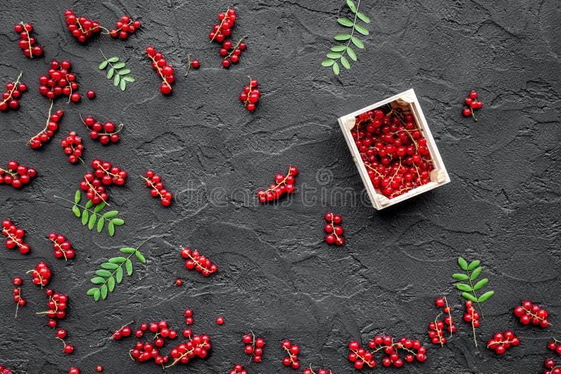 Berry Theme. Red Currant and Leaves on Black Table Background Top View ...