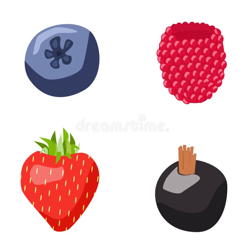 Berry Icons, Strawberry Blueberry Raspberry Currant Stock Vector ...