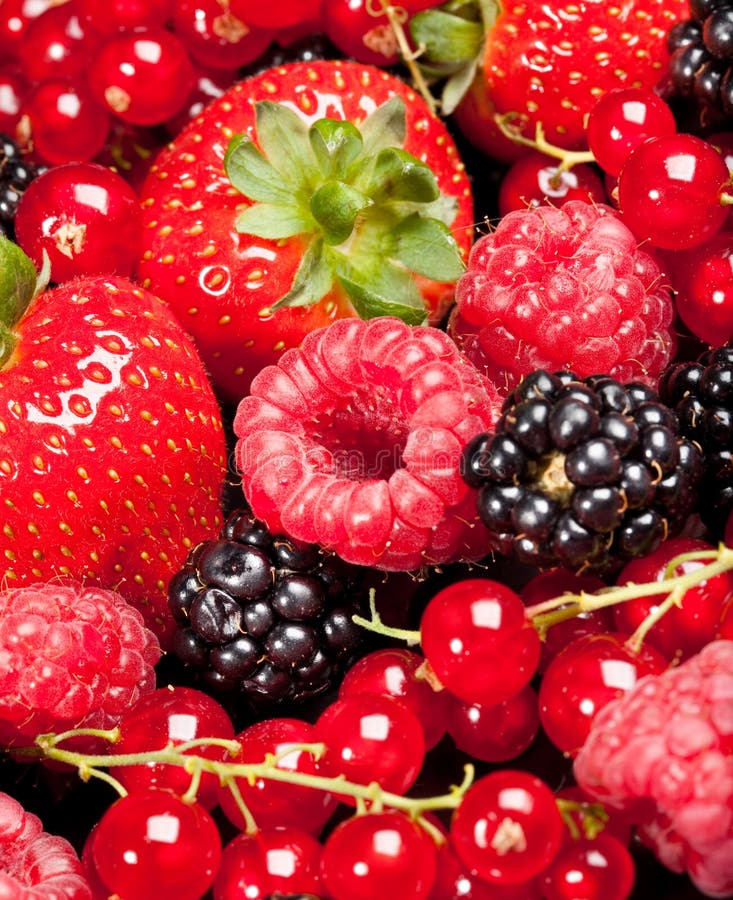 Berrys stock image. Image of eating, nature, freshness - 14805941