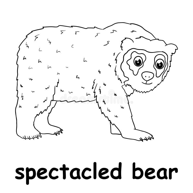 Kids Line Illustration Coloring Spectacled Bear. Outline Vector for ...