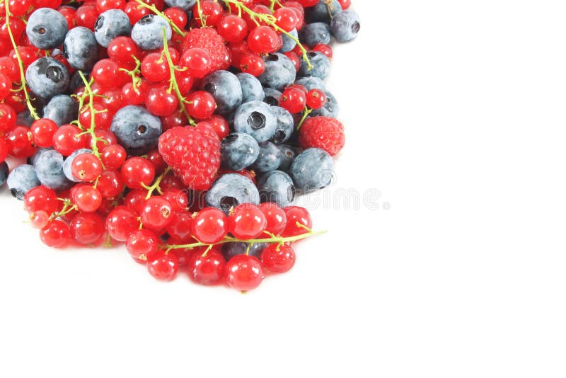 Bes, Verschillende Soorten Bessen Stock Foto - Image of nave, naughty ...