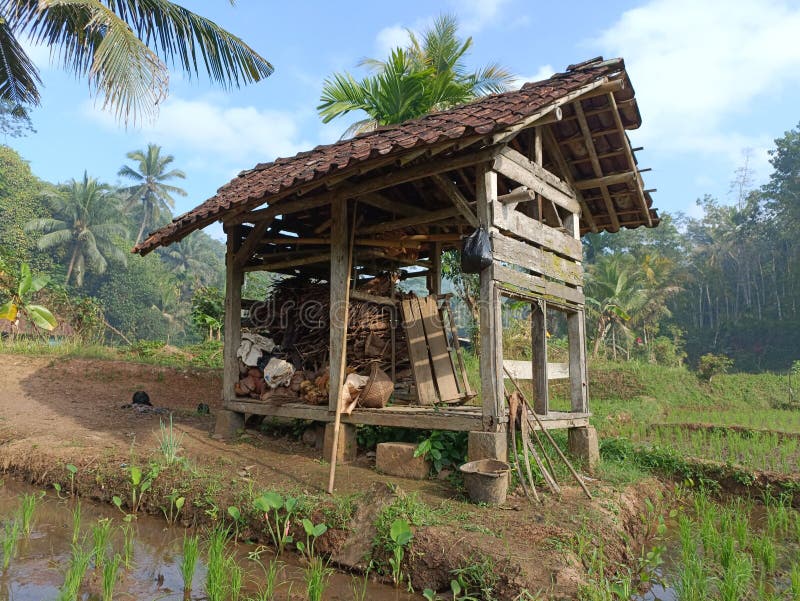 166 Agricultural Inputs Stock Photos - Free & Royalty-Free Stock Photos ...