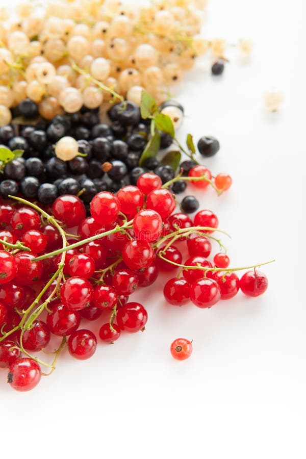 Bessen stock afbeelding. Image of zomer, kristal, groep - 31818835