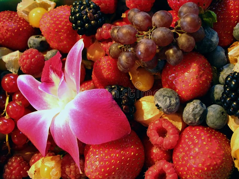 Bessen, Vers Fruit, Bloem in De Markt Van Landbouwers Stock Afbeelding ...