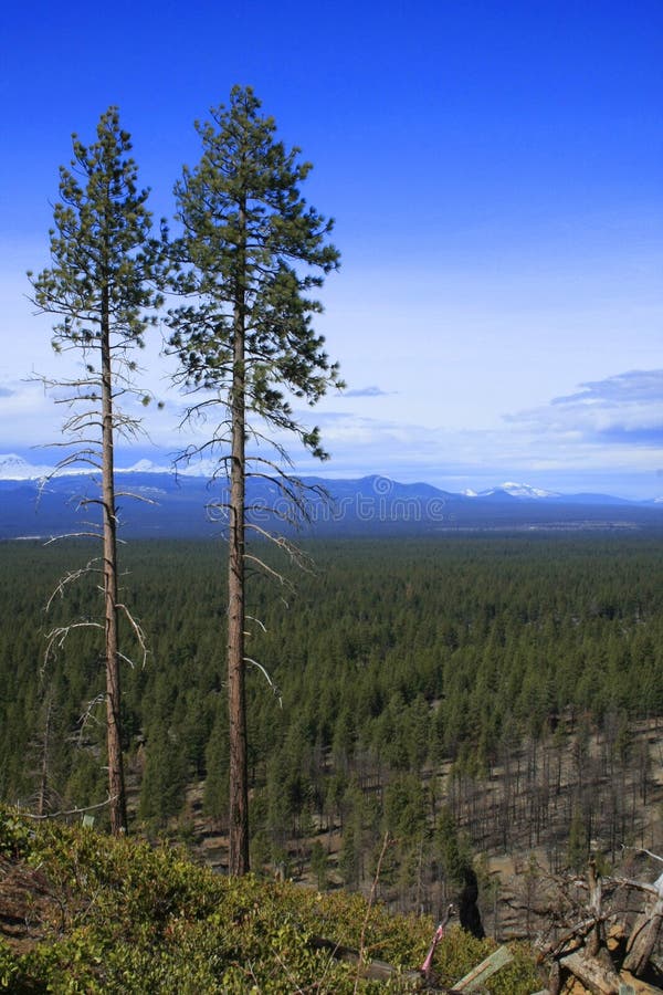 Bessie Butte Vista stock image. Image of adventure, hiking - 13468913