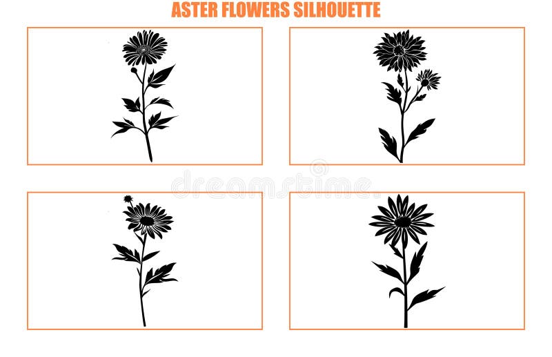 Best Aster Flower Icon Set, Aster Flower Silhouette Stock Vector ...