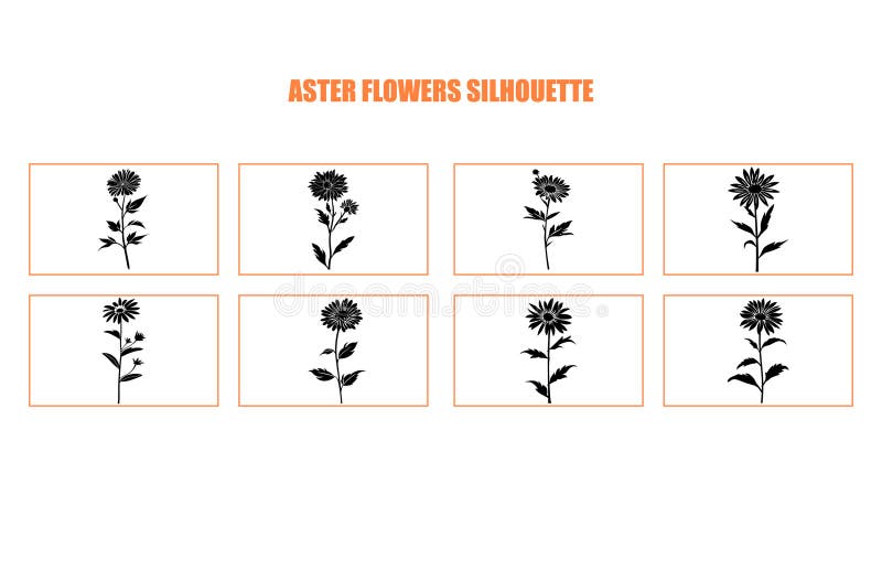Best Aster Flower Icon Set, Aster Flower Silhouette Stock Vector ...