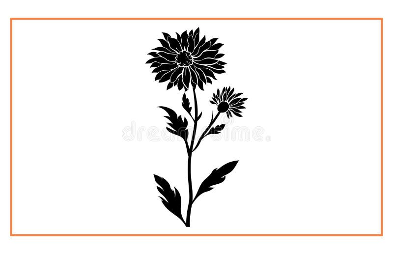 Best Aster Flower Icon, Aster Flower Silhouette Stock Vector ...
