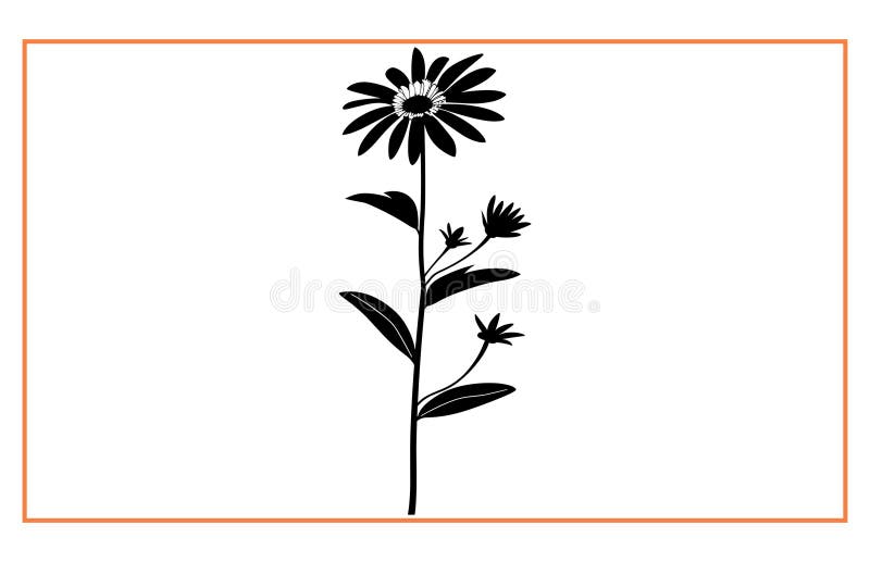Best Aster Flower Icon, Aster Flower Silhouette Stock Vector ...