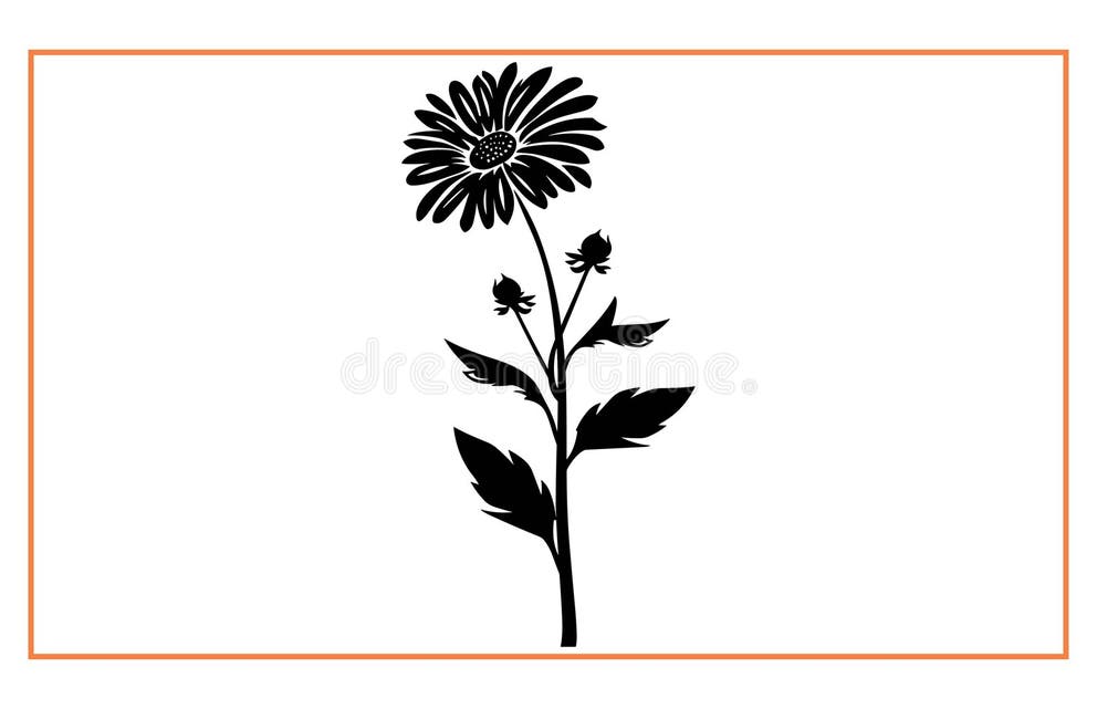 Best Aster Flower Icon, Aster Flower Silhouette Stock Vector ...
