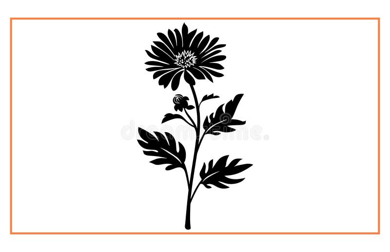 Best Aster Flower Icon, Aster Flower Silhouette Stock Vector ...
